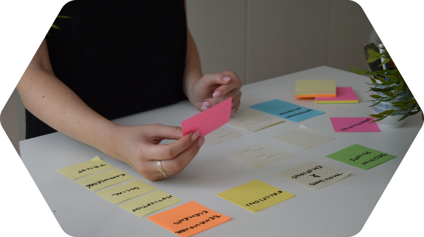 Design - BeHive Consulting