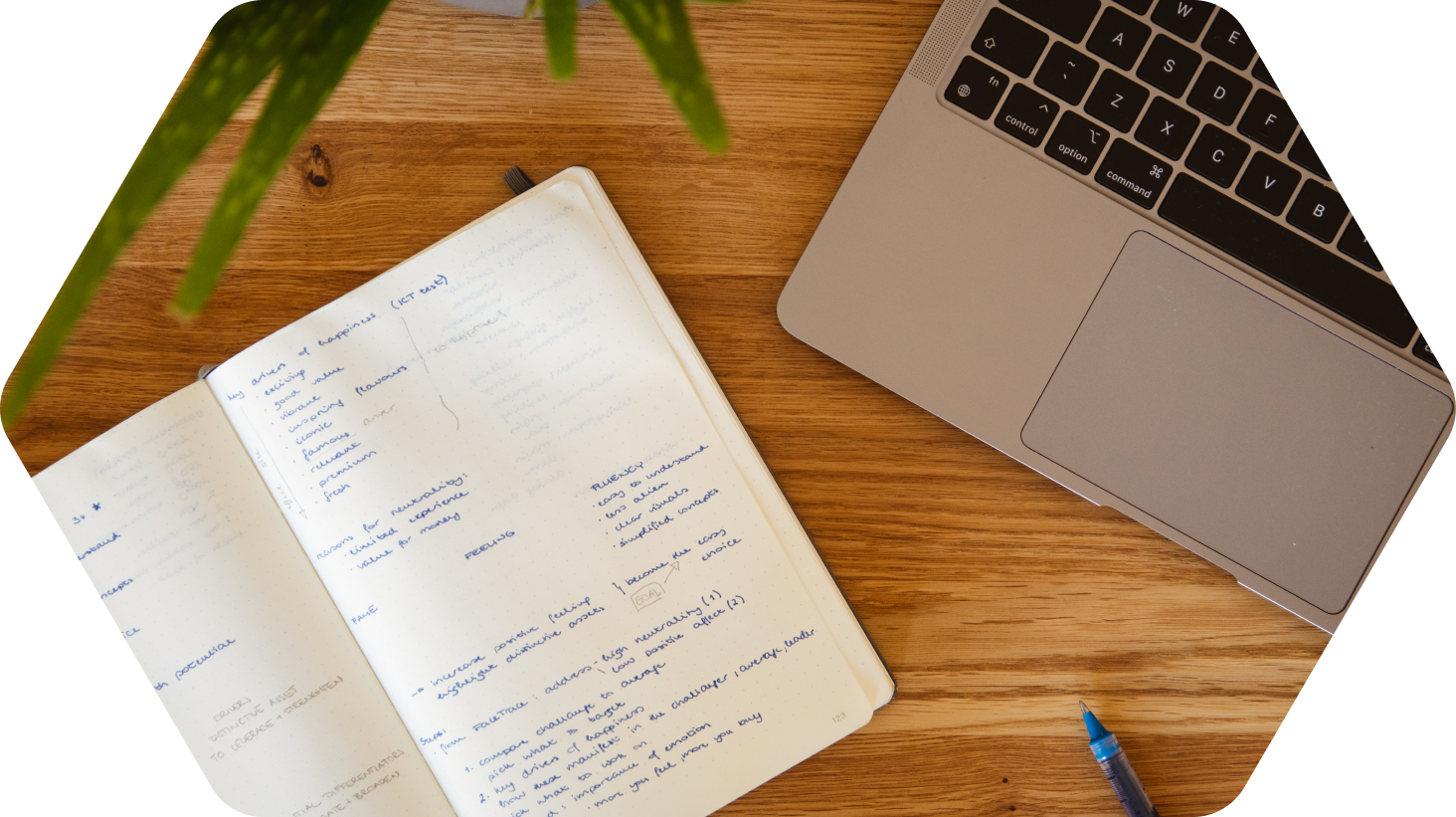 Research - BeHive Consulting